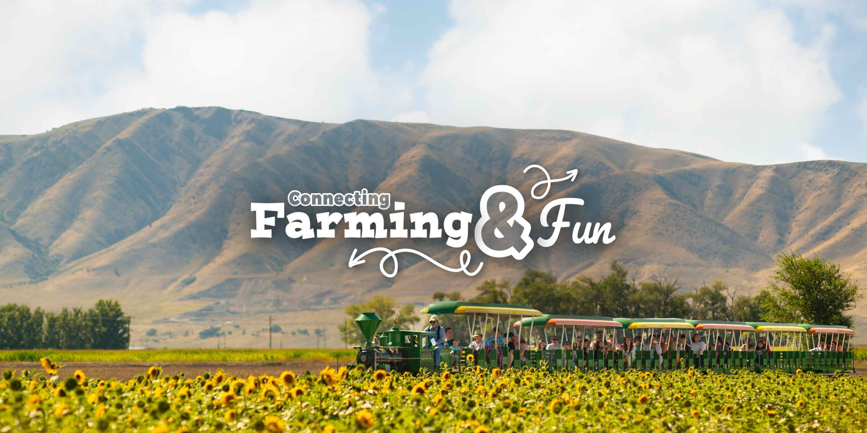 Cornbelly's: Corn Maze Pumpkin Fest in Lehi & Spanish Fork UT