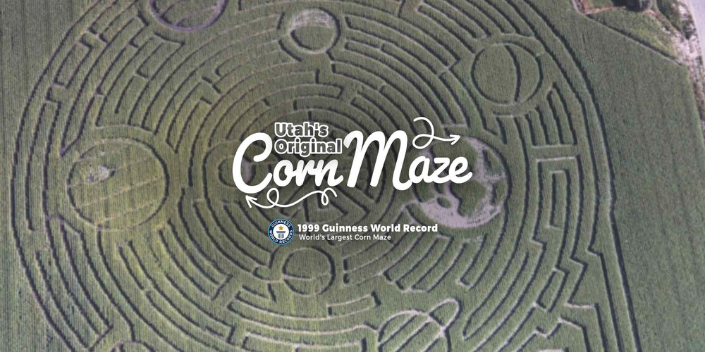 Corn Maze Gallery