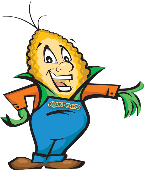 Everything You Ever Wanted To Know About Corn Mazes