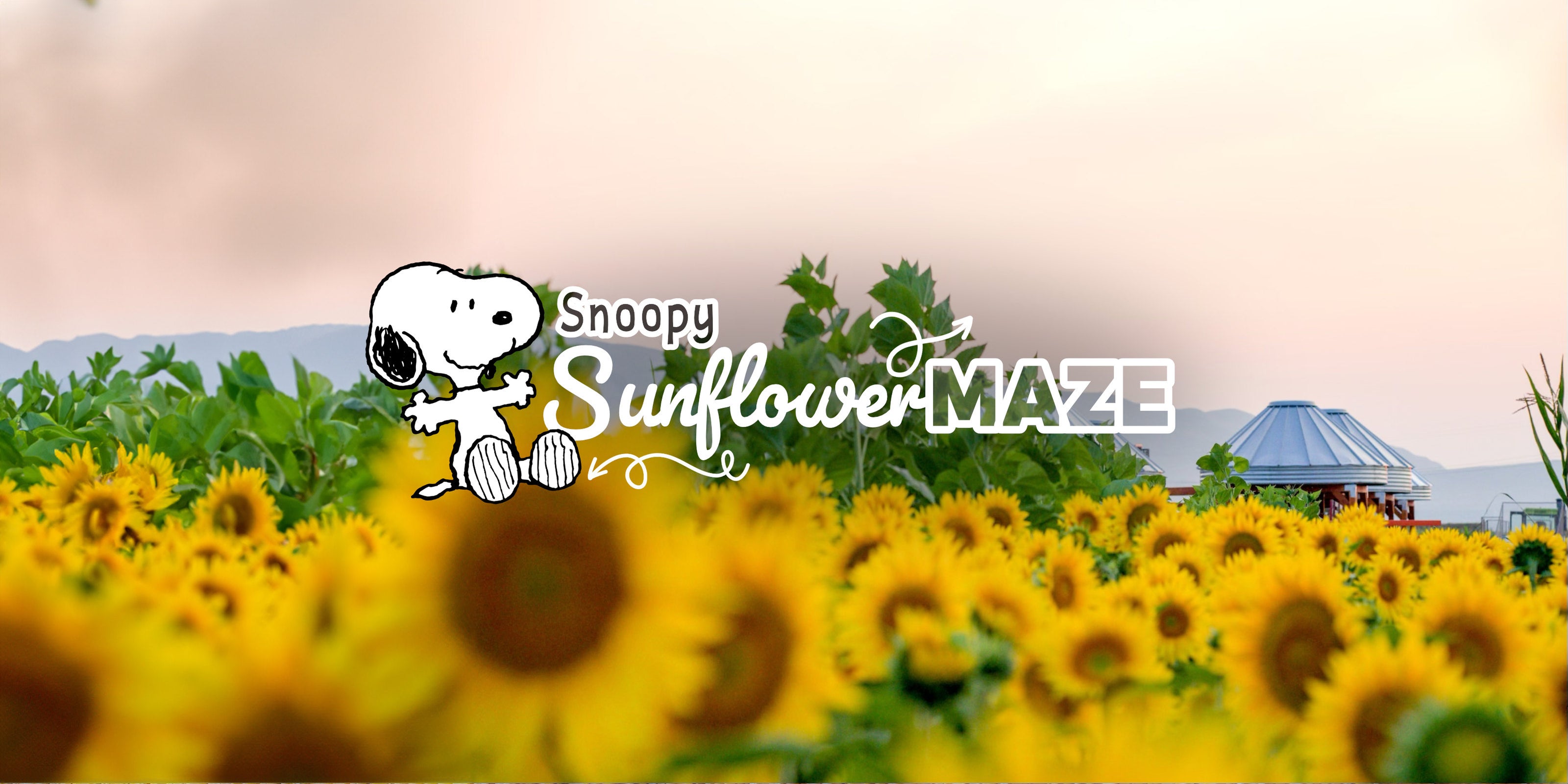 Cornbelly's: Corn Maze Pumpkin Fest in Lehi & Spanish Fork UT